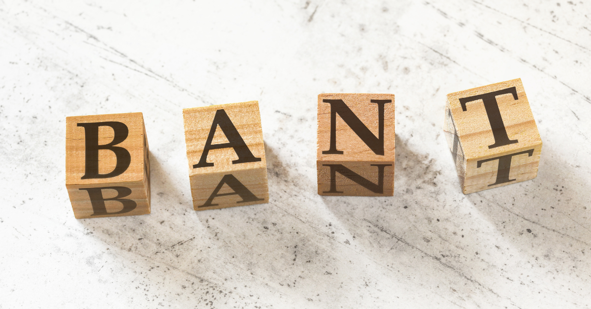 How is the BANT Method relevant to your business?